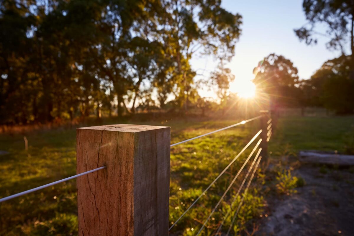 An honest review of Border Line Sighter Wire for horse properties.