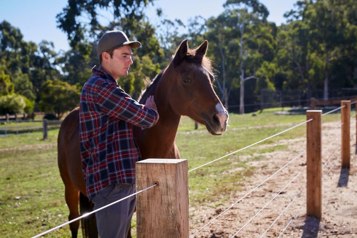 Which Border Line™ Horse Sighter Wire is the best?