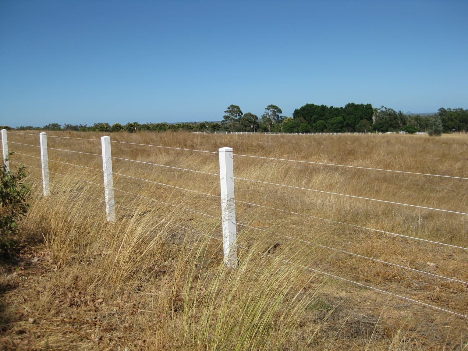 Best horse sighter wire – Comparing top horse sighter wires.