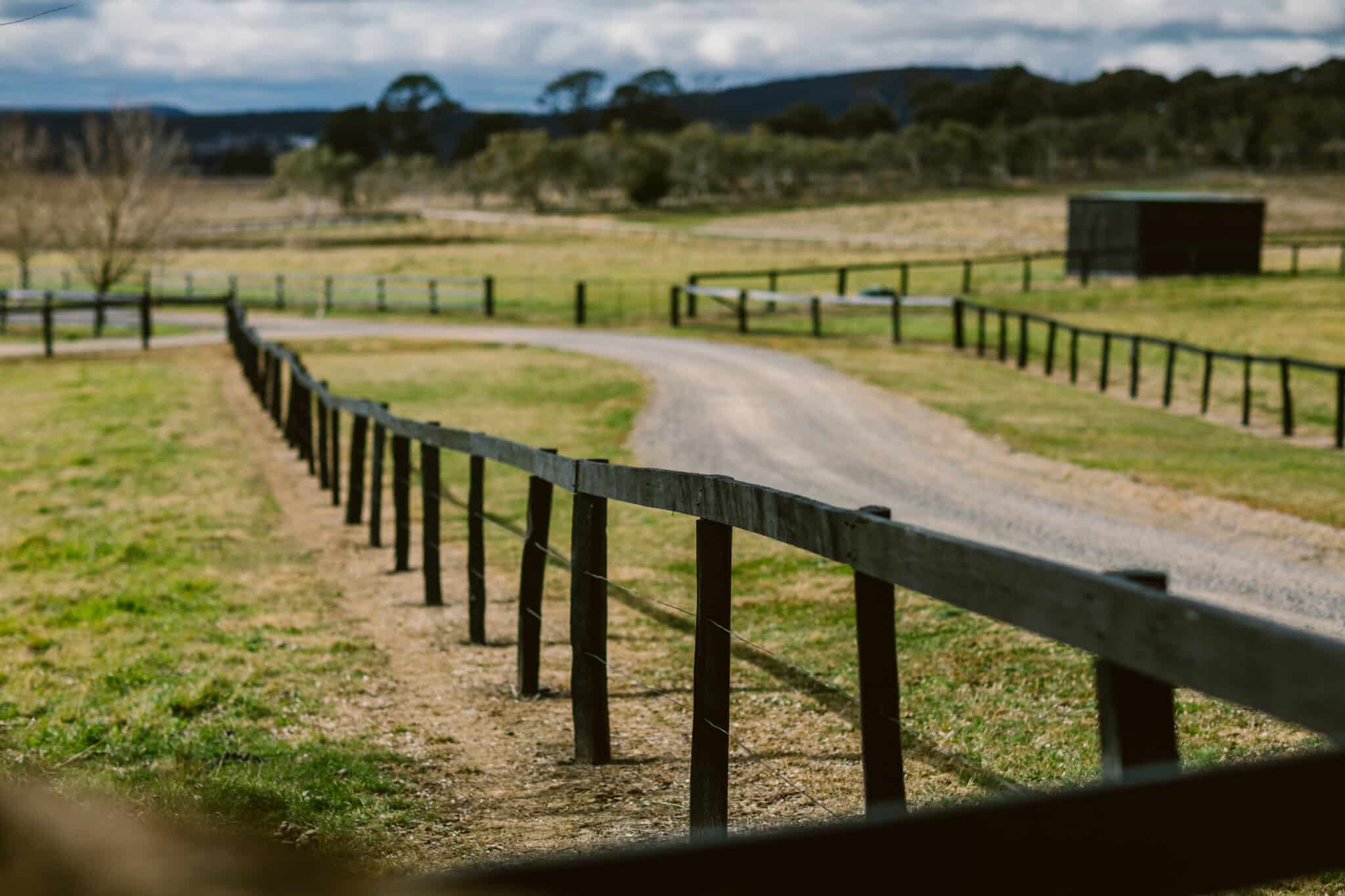 Timber fence posts - The biggest problems and their solutions.