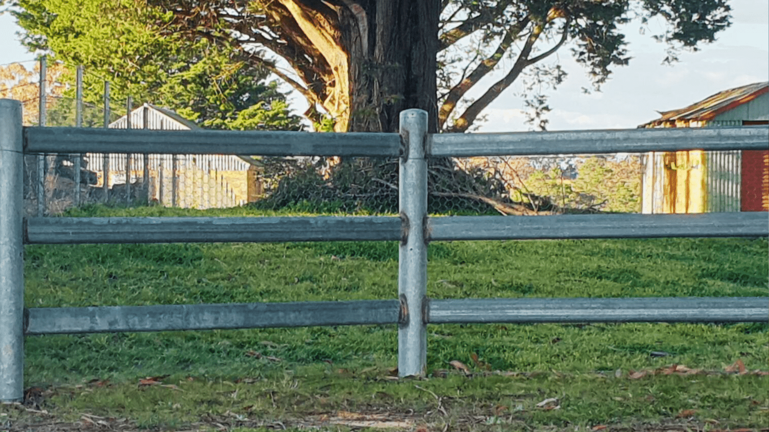 Honest review of Cattle Rail – Pros and Cons