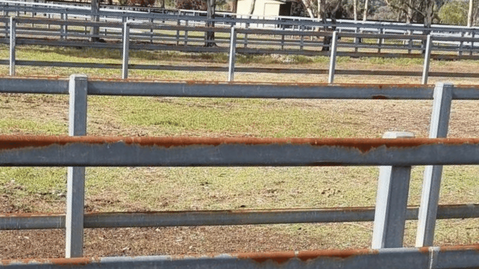 6 Biggest Problems with Cattle Rail Fencing and Their Solutions.