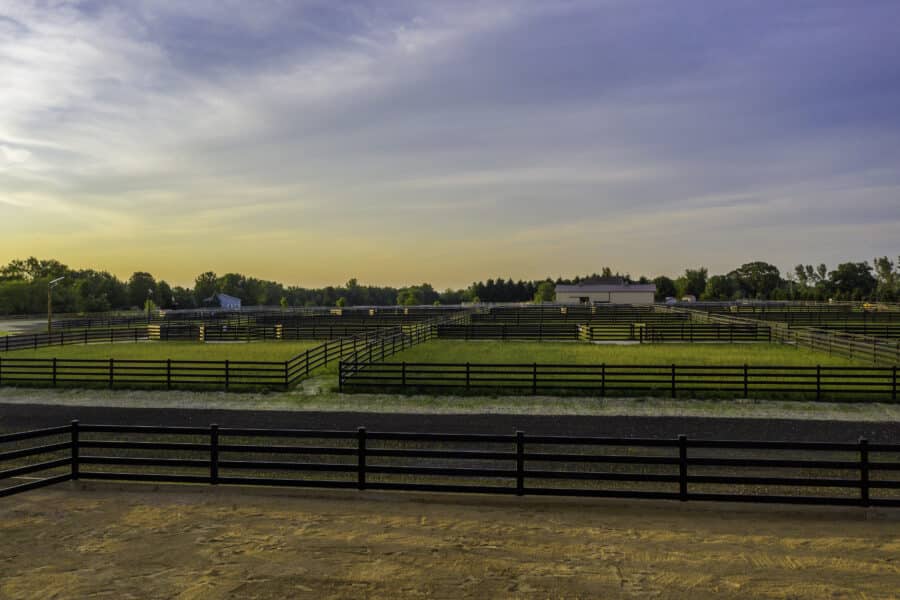 Creating the Best Paddock for Your Property: Fencing Design Ideas